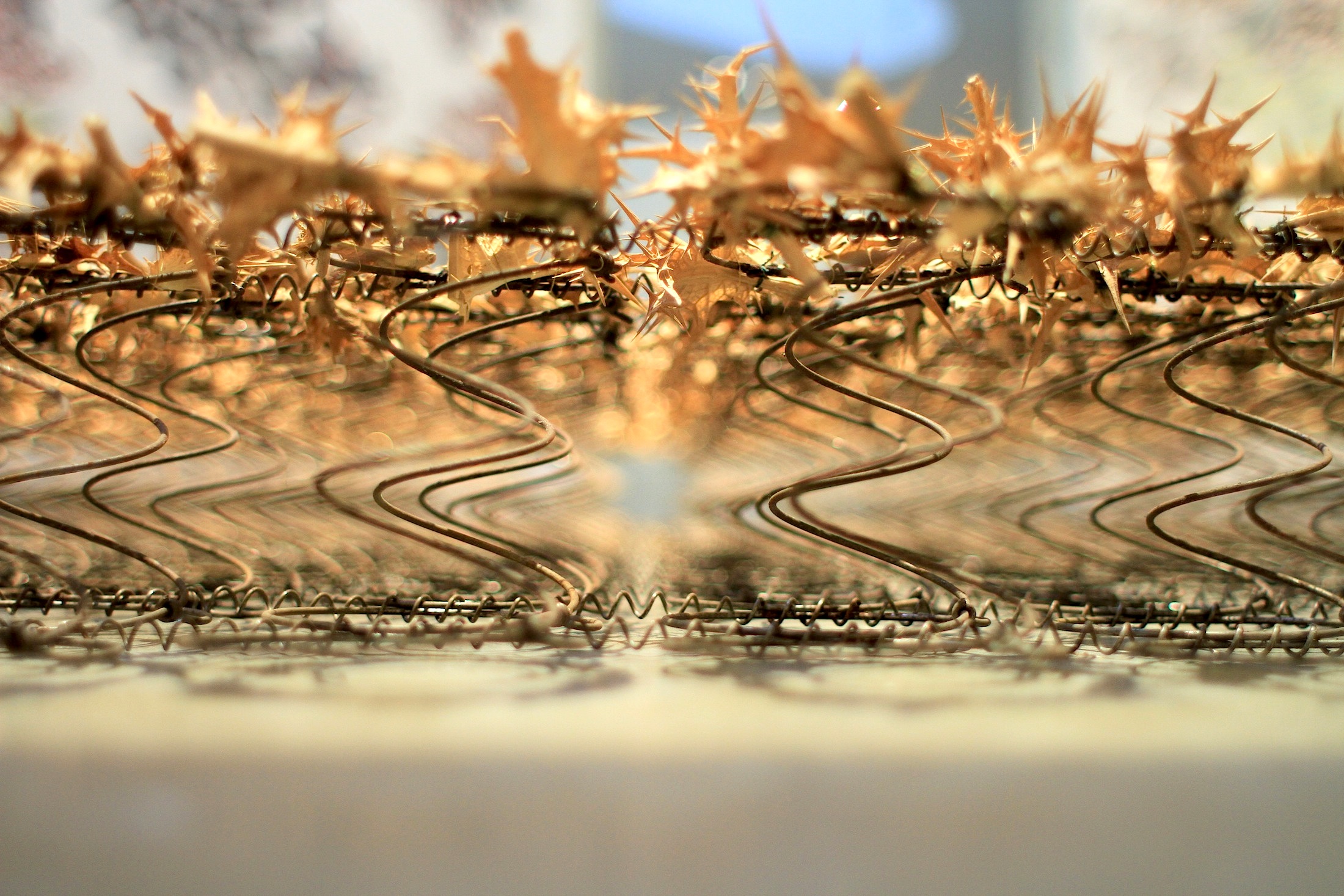 Marta Herford – Gehryford (Frank O. Gehry) [Herford]