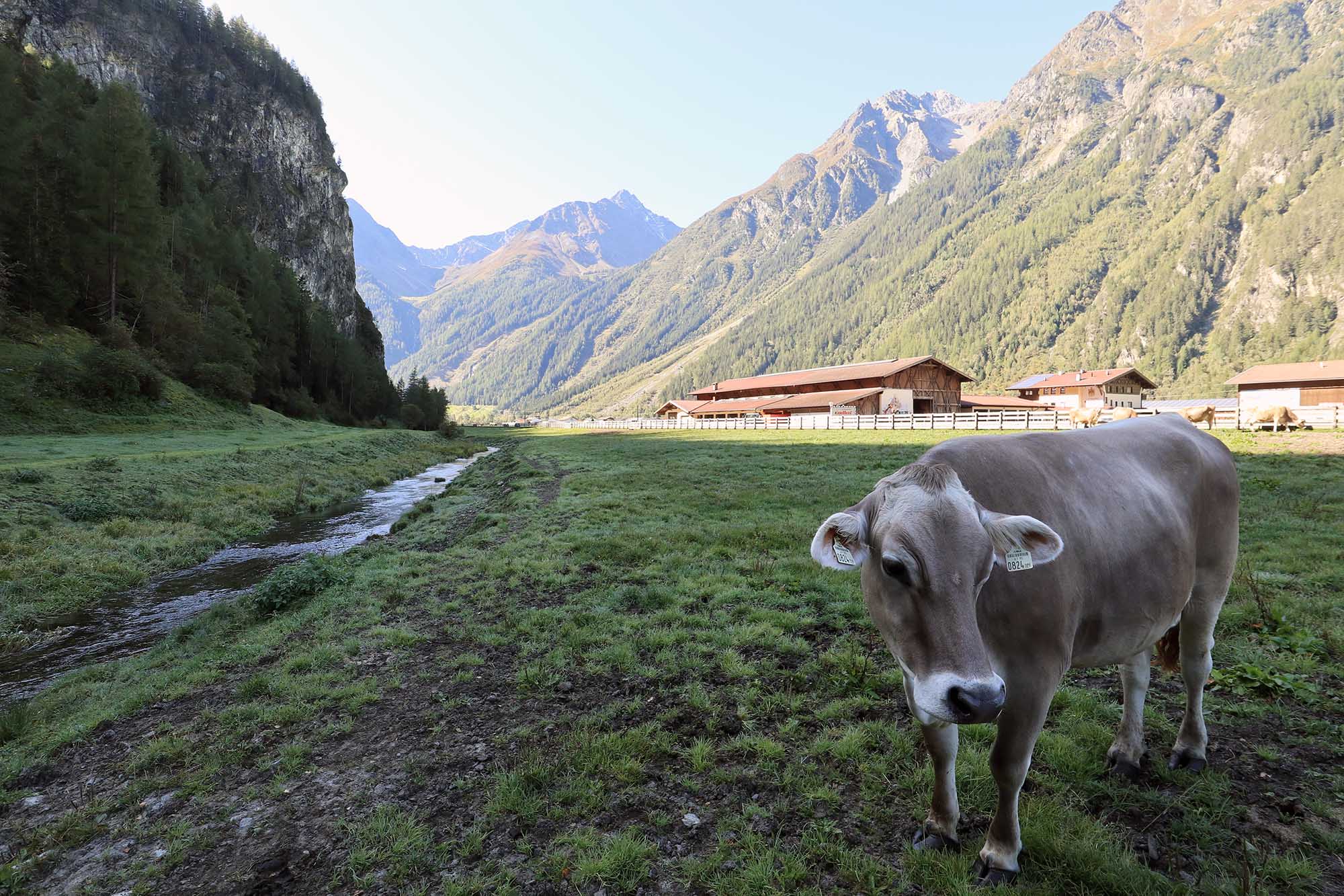 Naturpark Haus Längenfeld – Am Berg (Hanno Schlögl) [Längenfeld]